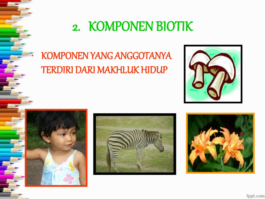 Contoh Komponen Biotik Dan Abiotik Dalam Ekosistem Pe - vrogue.co Contoh Komponen Biotik Dan Abiotik Dalam Ekosistem Pe - vrogue.co