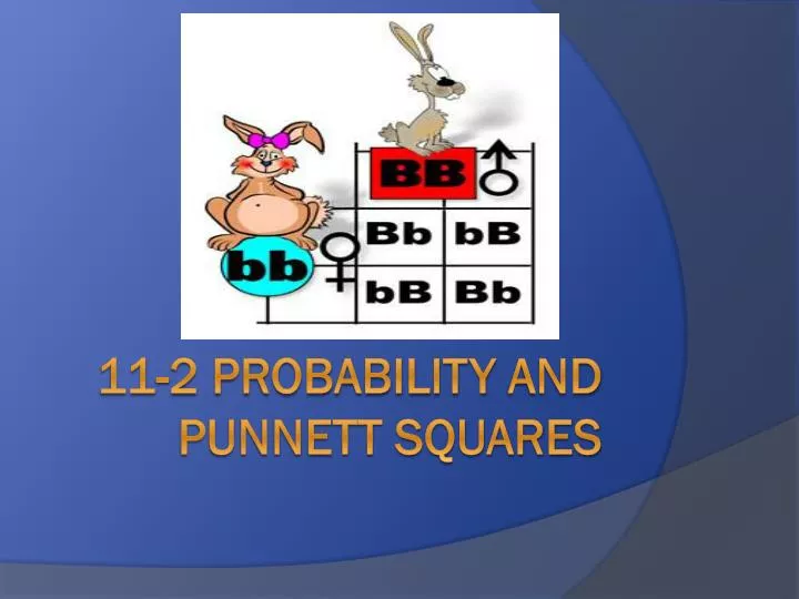 PPT - 11-2 Probability and PunneTt Squares PowerPoint Presentation ...
