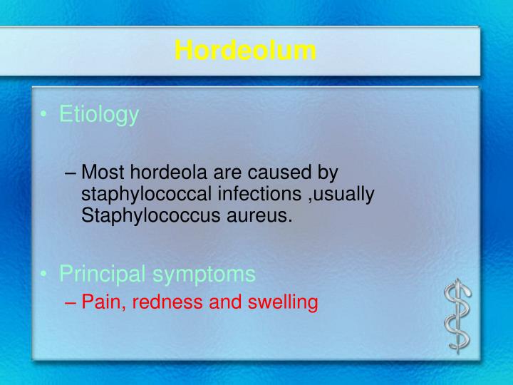 PPT - Lids Disease PowerPoint Presentation - ID:5500339
