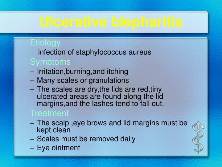 PPT - Lids Disease PowerPoint Presentation - ID:5500339