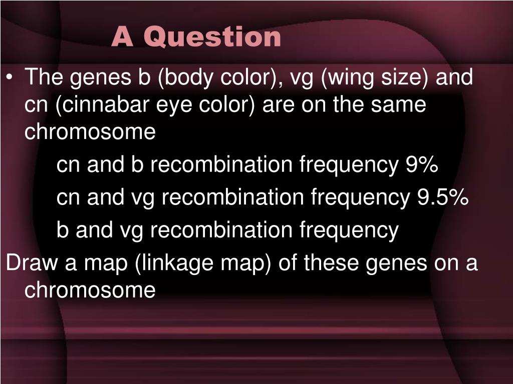Ppt Chromosomal Basis Of Inheritance Linked Genes Sex Linked Genes