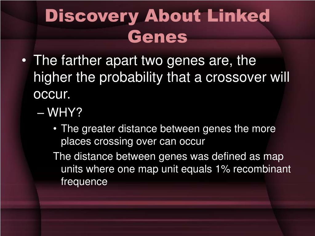 Ppt Chromosomal Basis Of Inheritance Linked Genes Sex Linked Genes