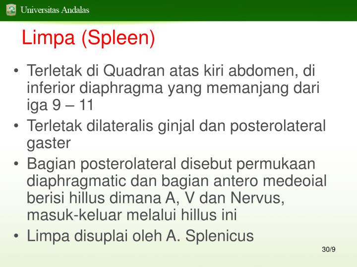 PPT - SISTEM LIMFATIK PowerPoint Presentation - ID:5501627