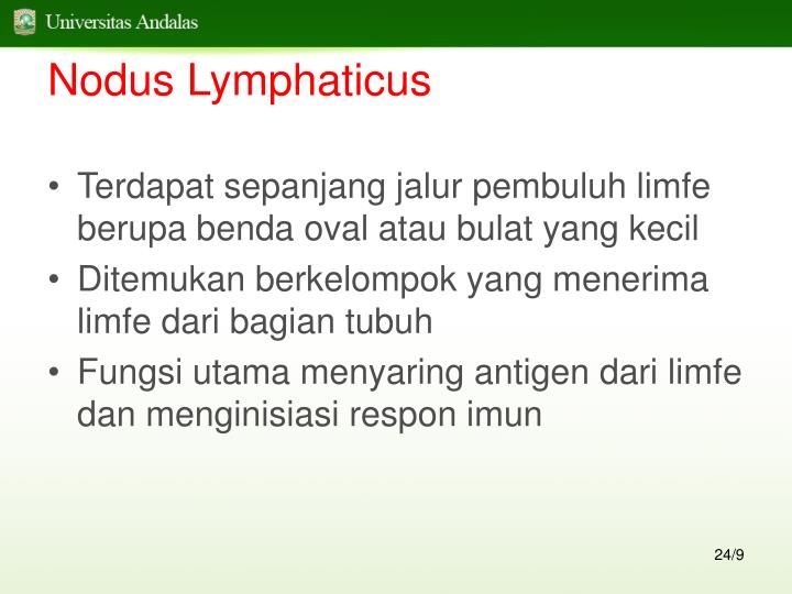PPT - SISTEM LIMFATIK PowerPoint Presentation - ID:5501627