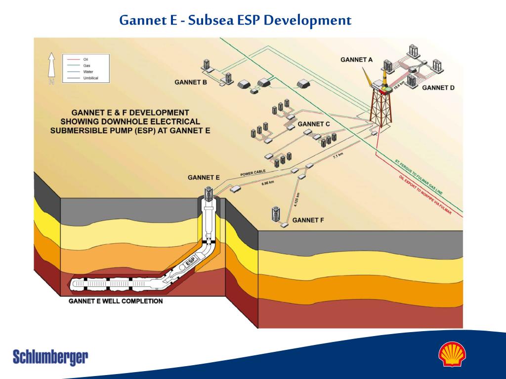 PPT - Gaslift as Back-Up for a Subsea ESP Lifted Well PowerPoint ...