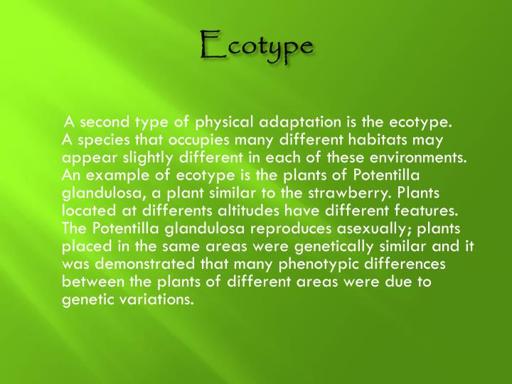 PPT - Population Genetics PowerPoint Presentation - ID:5502410