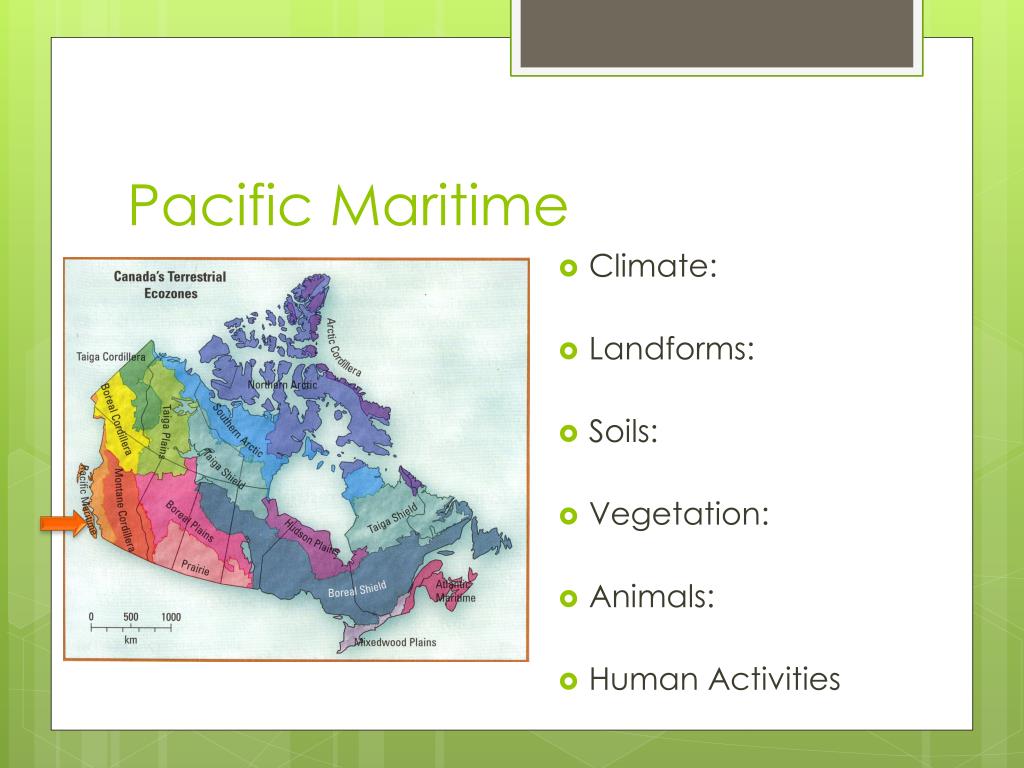 PPT - Canada’s Eco-zones PowerPoint Presentation, free download - ID ...