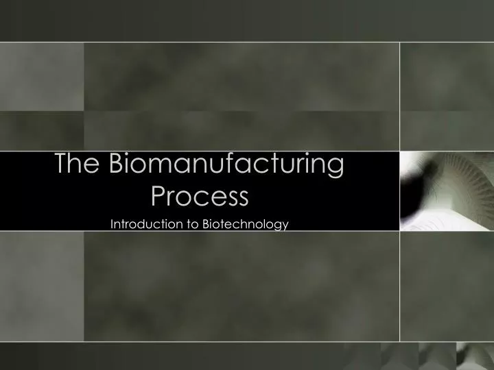 PPT - The Biomanufacturing Process PowerPoint Presentation, free ...