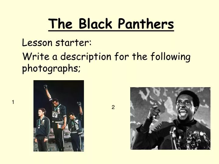 PPT - The Black Panthers PowerPoint Presentation, free download - ID ...
