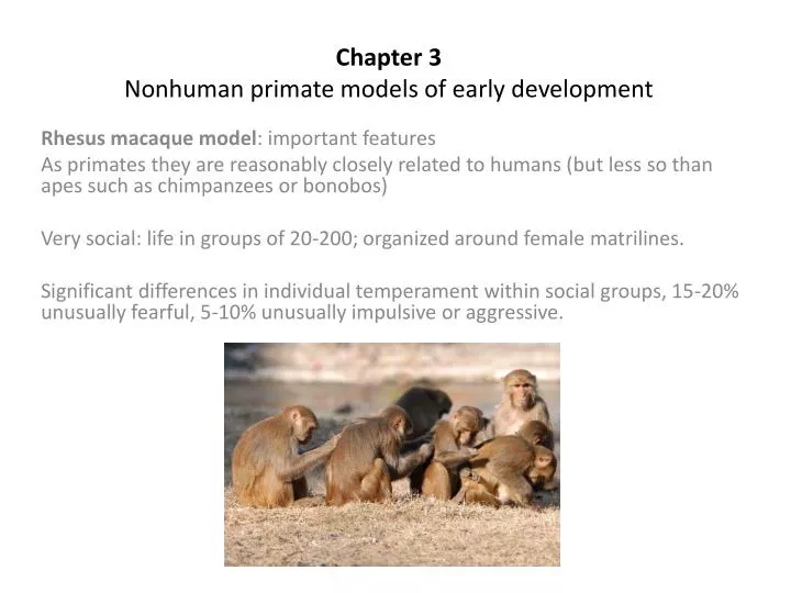 PPT - Chapter 3 Nonhuman primate models of early development PowerPoint ...