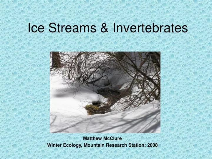 PPT - Ice Streams & Invertebrates PowerPoint Presentation, free ...