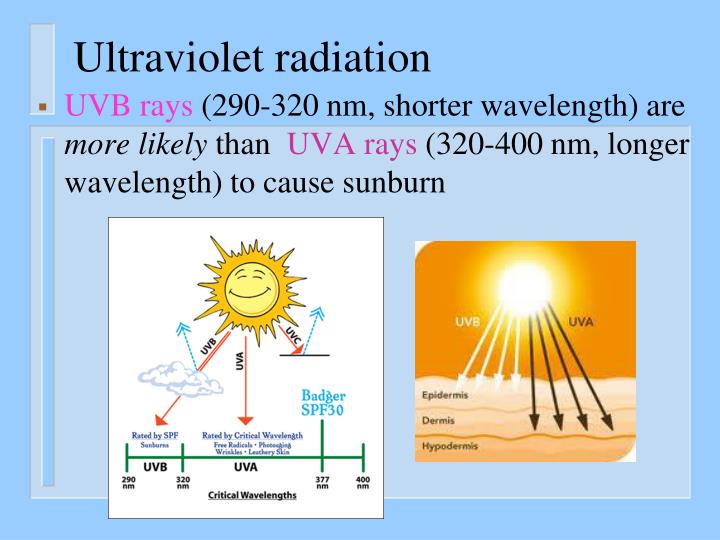PPT - SKIN CANCER PREVENTION & IDENTIFICATION PowerPoint Presentation ...