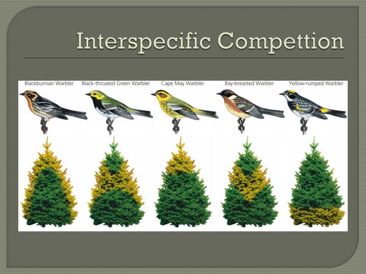 PPT - Species Interactions PowerPoint Presentation - ID:5508450