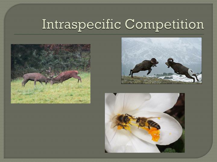 PPT - Species Interactions PowerPoint Presentation - ID:5508450