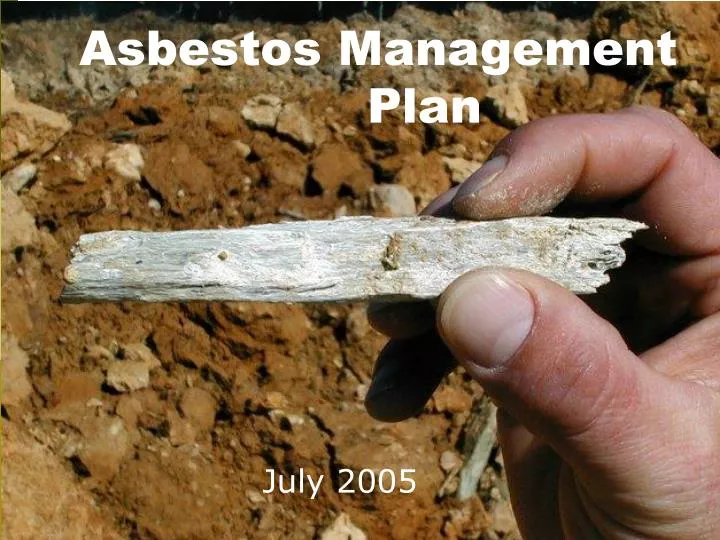 PPT - Asbestos Management Plan PowerPoint Presentation, free download ...