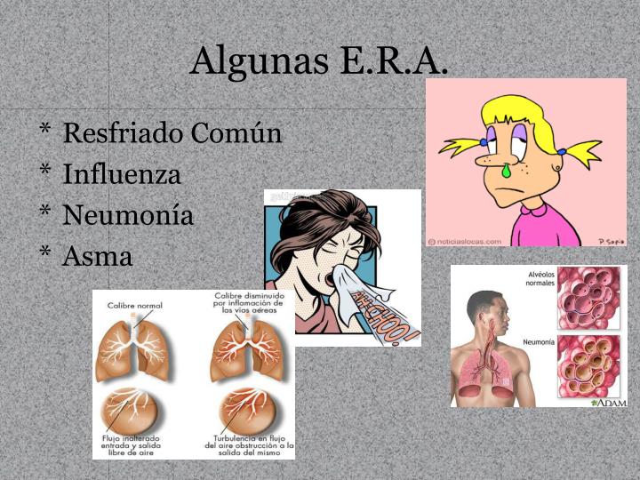 Ppt Enfermedad Respiratoria Aguda Powerpoint Presentation Id 5509923
