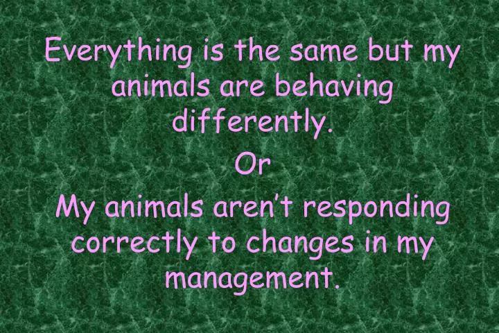 PPT - Everything is the same but my animals are behaving differently ...
