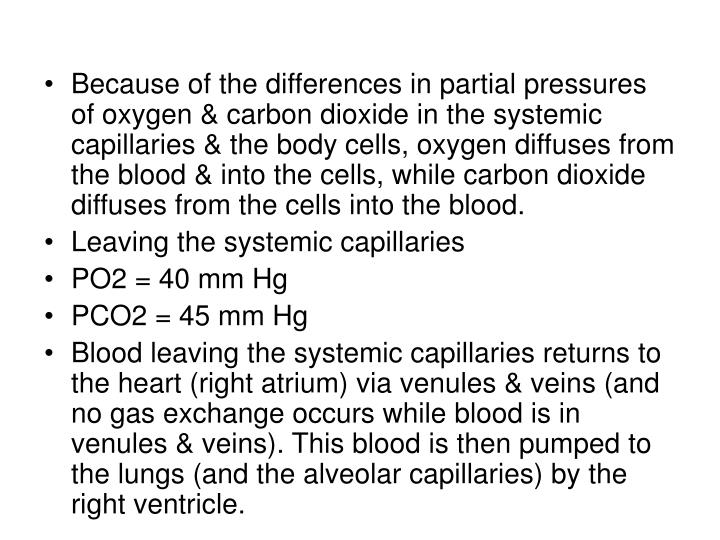 PPT - Transport of gases PowerPoint Presentation - ID:5511452