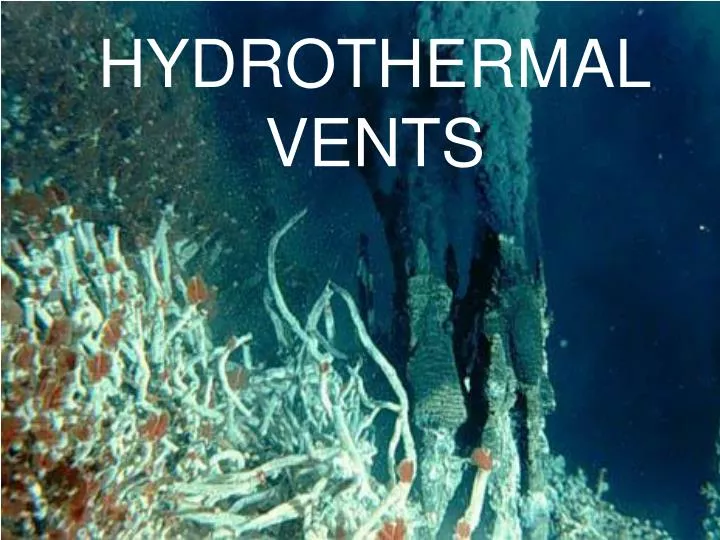Hydrothermal Vent Model