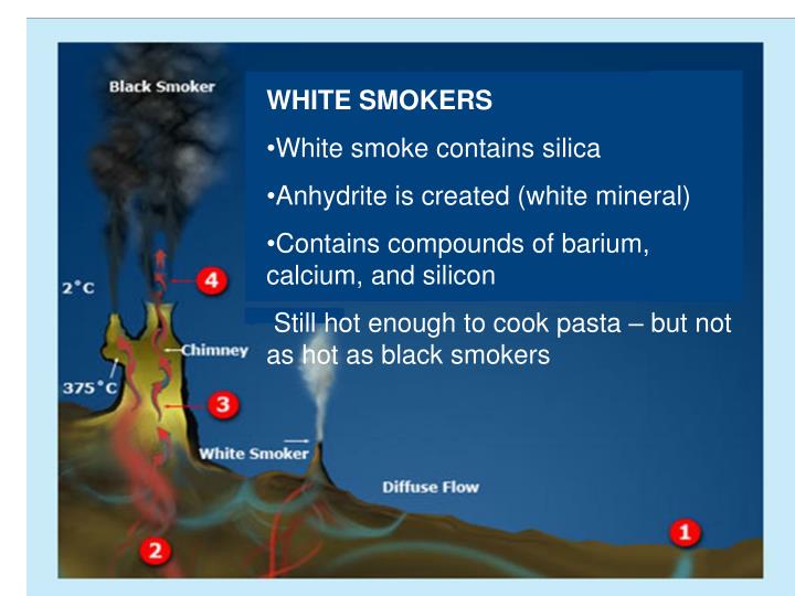 PPT - HYDROTHERMAL VENTS PowerPoint Presentation - ID:5511693