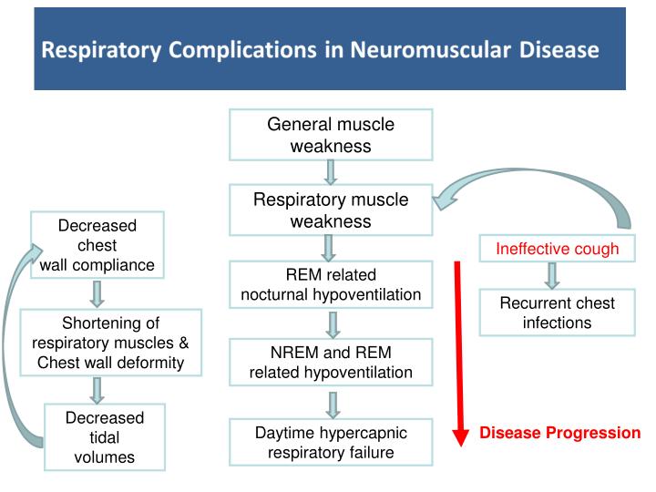PPT - An Overview of Cough & Cough Assessment Sally Cozens Respiratory ...