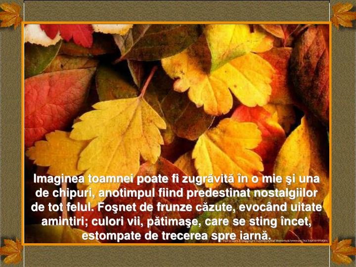 PPT - TOAMNA PowerPoint Presentation - ID:5513339