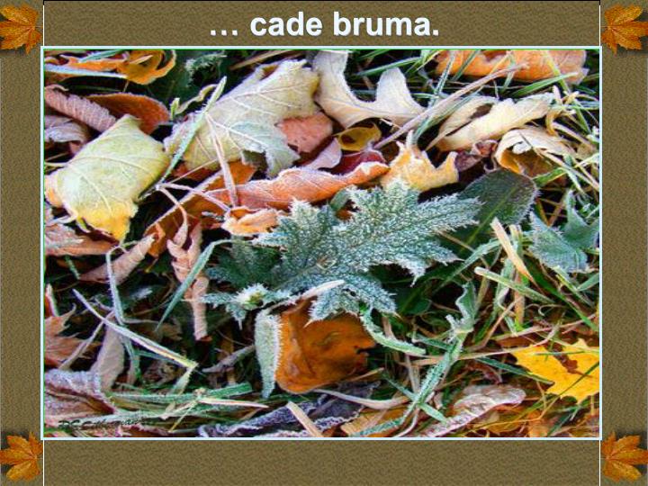 PPT - TOAMNA PowerPoint Presentation - ID:5513339