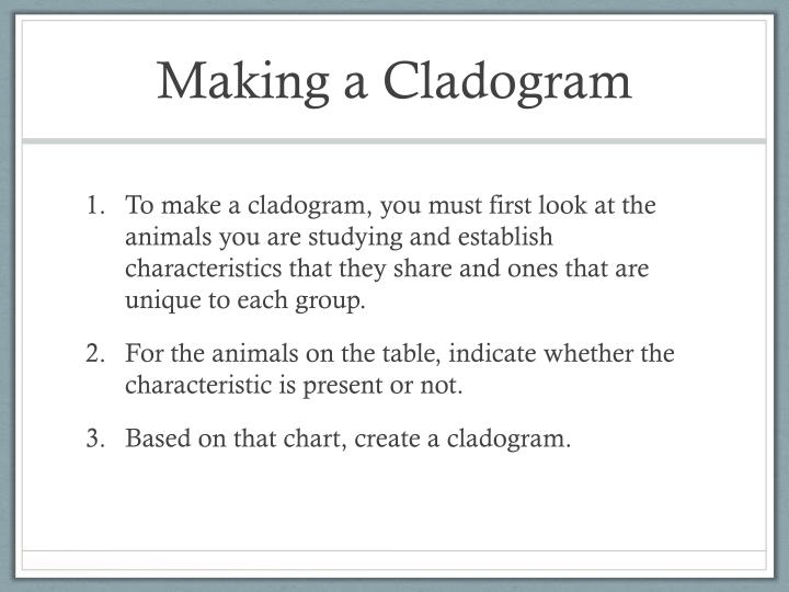 PPT - Reading and Making a Cladogram PowerPoint Presentation - ID:5513519