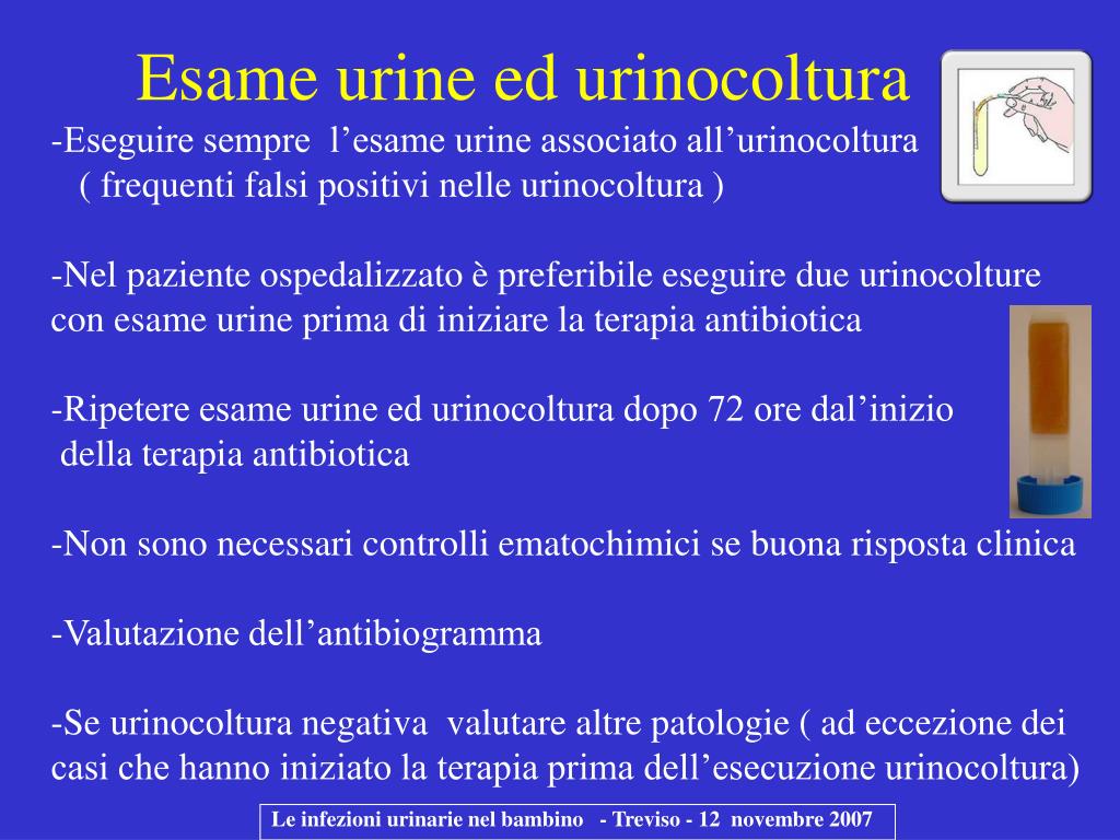PPT - Le infezioni urinarie nel bambino PowerPoint Presentation, free ...