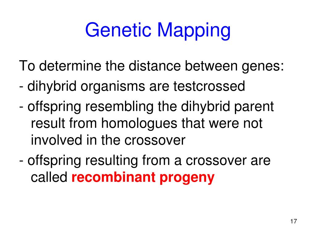 Ppt Chromosomes Mapping And The Meiosis Inheritance Connection