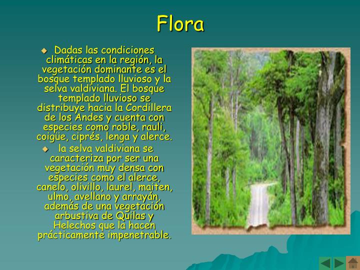 PPT - XIV REGIÓN DE LOS RÍOS PowerPoint Presentation - ID:5516165