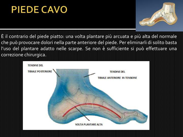 PPT - Paramorfismi e Dismorfismi PowerPoint Presentation - ID:5516171