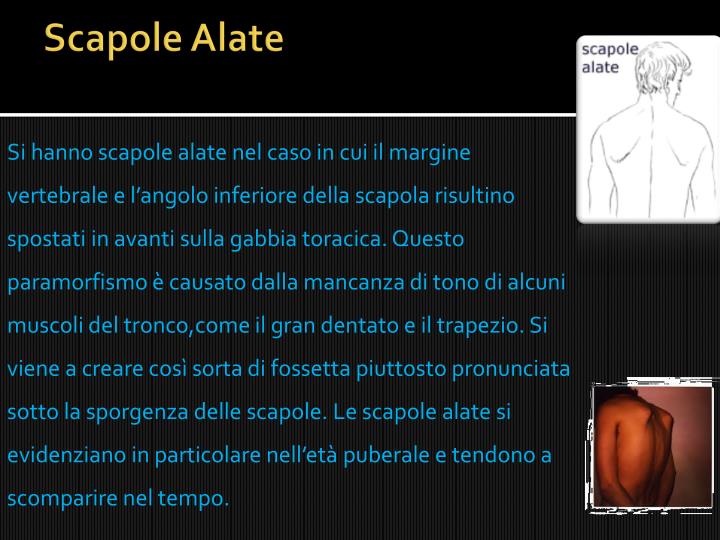 PPT - Paramorfismi e Dismorfismi PowerPoint Presentation - ID:5516171
