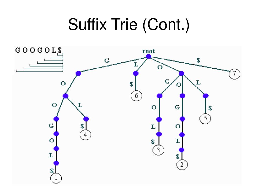 Ppt Trie Suffix Trie Suffix Tree Powerpoint Presentation Free