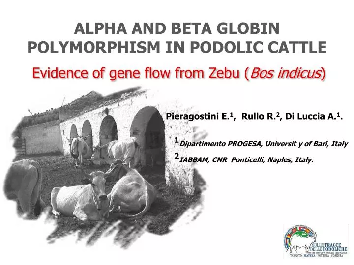 PPT - ALPHA AND BETA GLOBIN POLYMORPHISM IN PODOLIC CATTLE PowerPoint ...