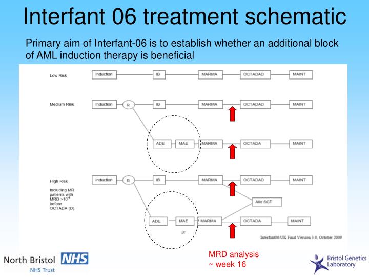 PPT - Using the MLL translocation as an MRD marker in infant ALL ...