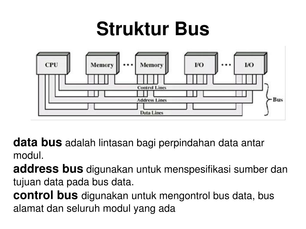 Struktur Dan Macam Macam Bus Pada Komputer Siskom Tec - vrogue.co Struktur Dan Macam Macam Bus Pada Komputer Siskom Tec - vrogue.co