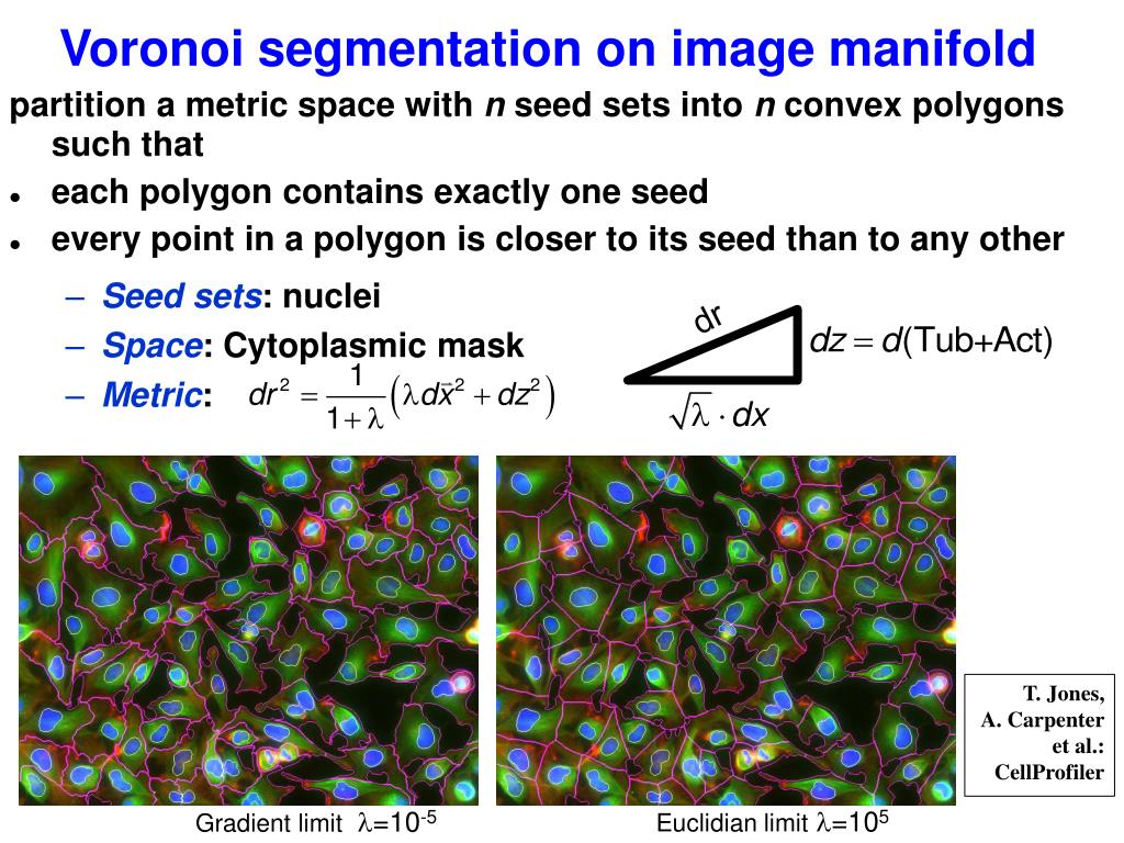 PPT - High-throughput cell-based assays PowerPoint Presentation, free ... PPT - High-throughput cell-based assays PowerPoint Presentation, free ...