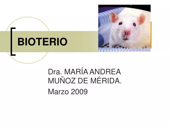 PPT - BIOTERIO PowerPoint Presentation, free download - ID:5518856