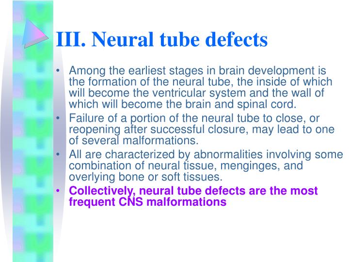 PPT - CNS Pathology Introduction & Congenital Abnormalities PowerPoint ...