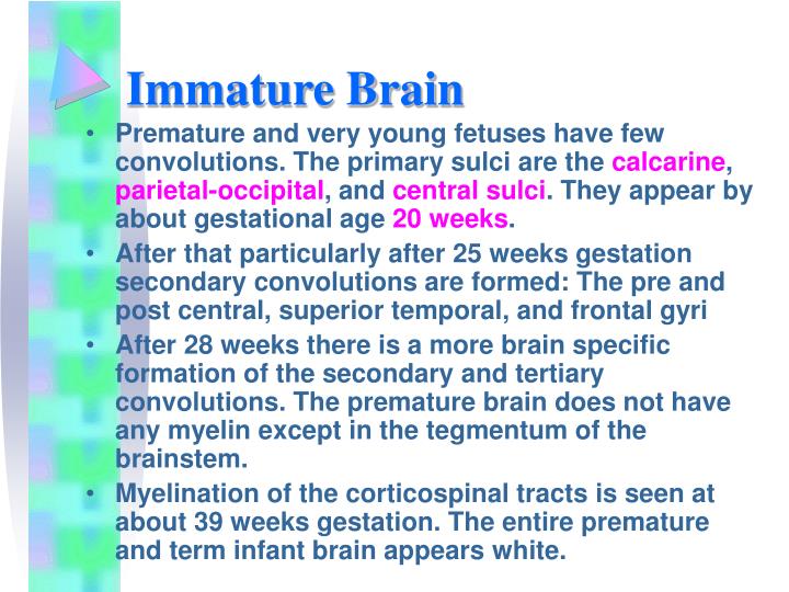 PPT - CNS Pathology Introduction & Congenital Abnormalities PowerPoint ...