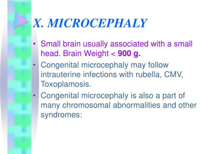 PPT - CNS Pathology Introduction & Congenital Abnormalities PowerPoint ...