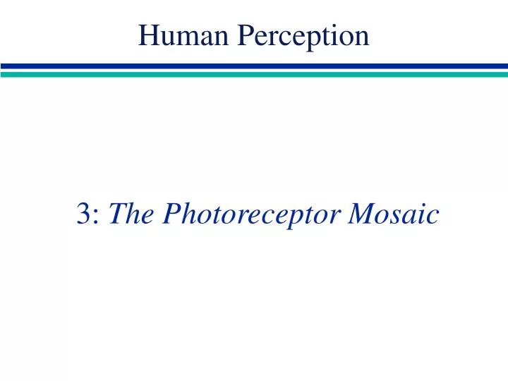 PPT - 3: The Photoreceptor Mosaic PowerPoint Presentation, free ...