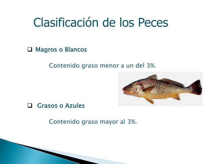 PPT - Pescados y mariscos PowerPoint Presentation - ID:5521768