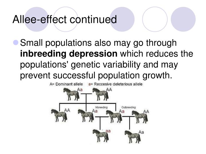 PPT - Factors Affecting Population Change PowerPoint Presentation - ID ...