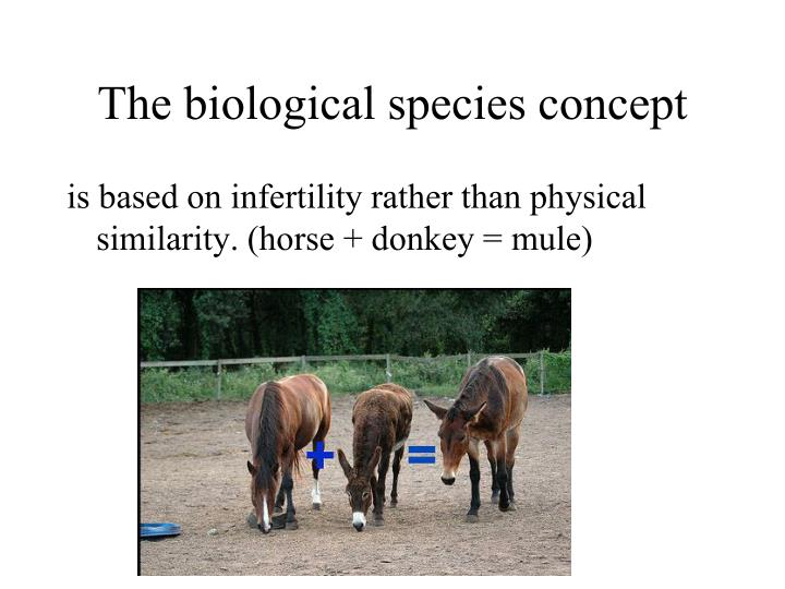 PPT - The Origin of Species PowerPoint Presentation - ID:5522367