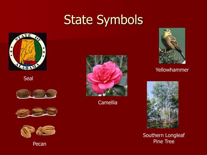 PPT - Alabama PowerPoint Presentation - ID:5522427