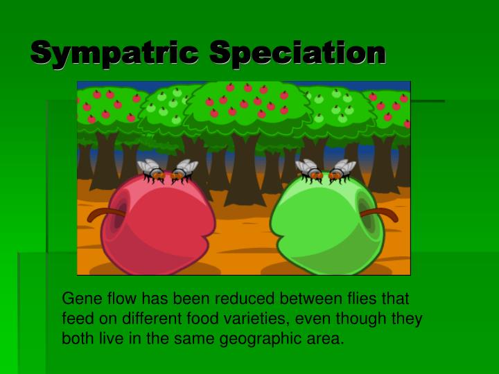 PPT - Speciation PowerPoint Presentation - ID:5523083