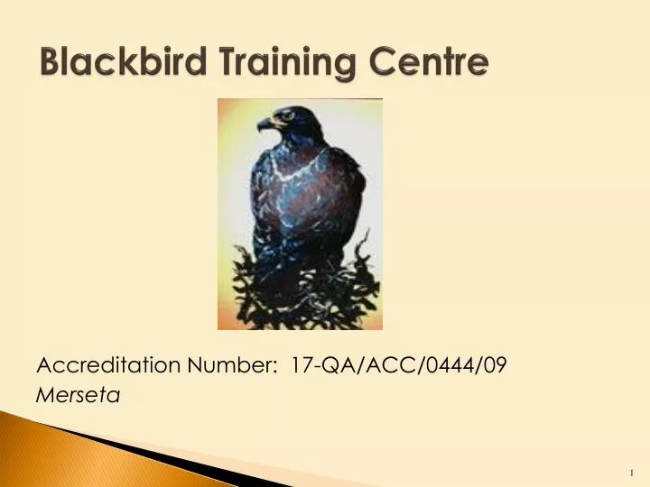 PPT - Blackbird Training Centre PowerPoint Presentation, free download ...