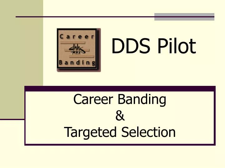 PPT - Career Banding & Targeted Selection PowerPoint Presentation, free ...